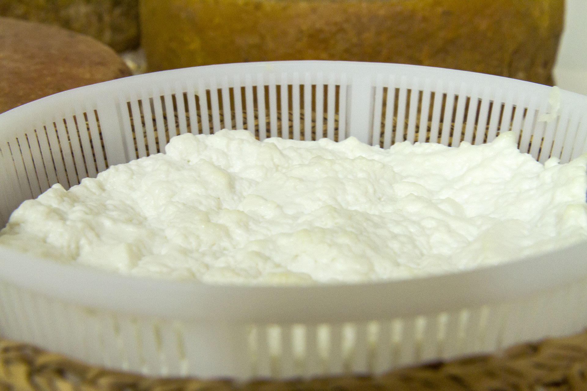 Brocciu - Office Intercommunal de tourisme du Celavu-Prunelli