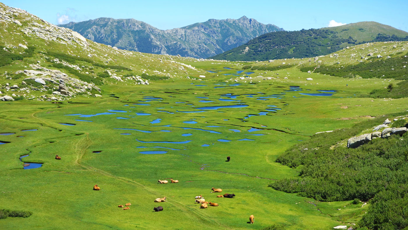 Randonnée : I Pozzi - Office Intercommunal de tourisme du Celavu-Prunelli