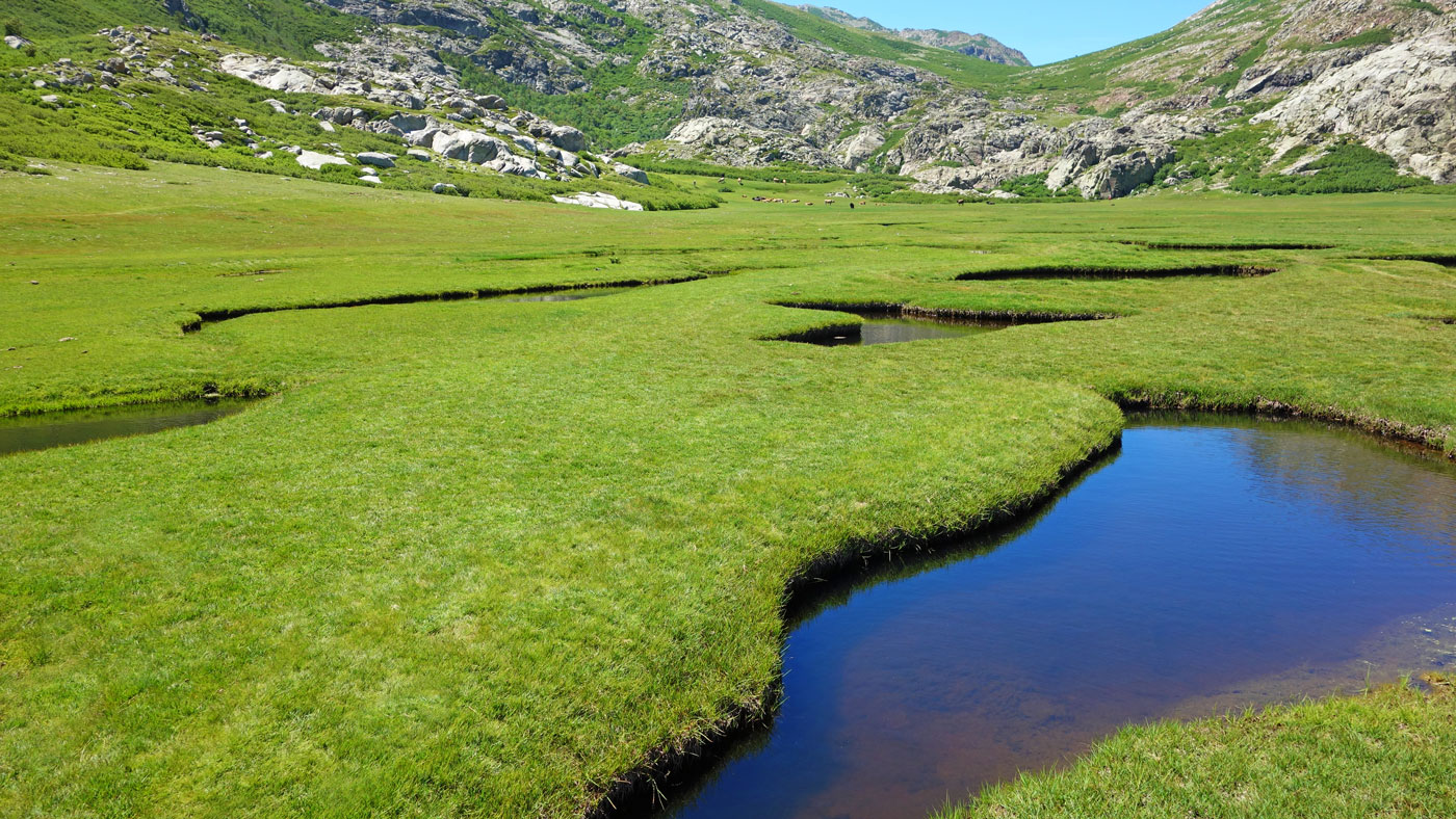 I Pozzi - Office Intercommunal de tourisme du Celavu-Prunelli